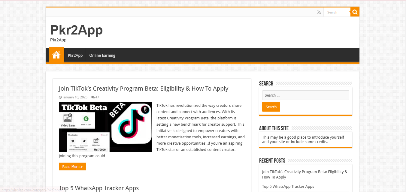 Is 4UVize Real or Fake? A Detailed Review